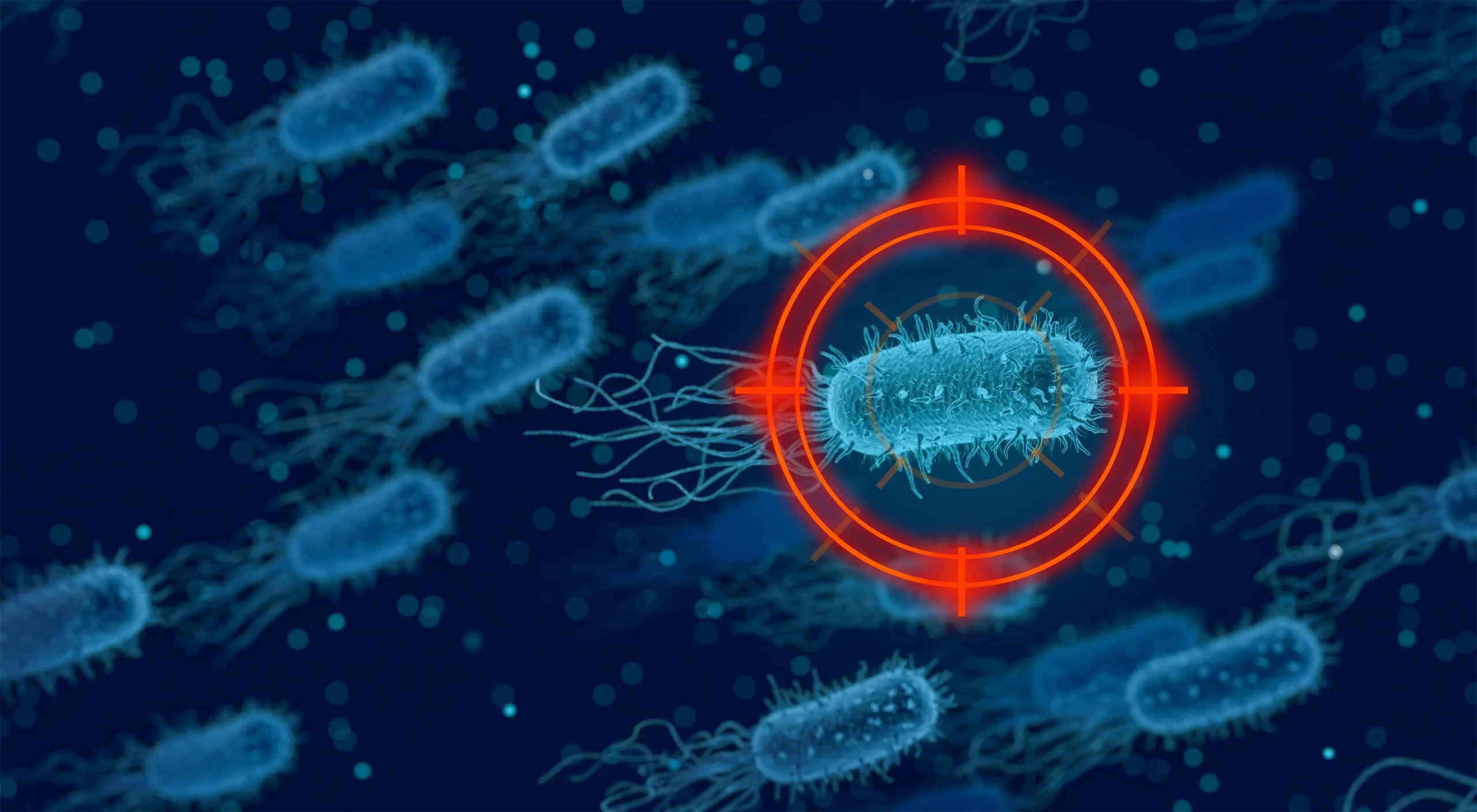 VELVERT®: Natural Antimicrobial Barrier Dressing - Datt Mediproducts ...