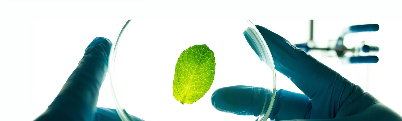 Choose the Right Wound Care Solution for Every Wound